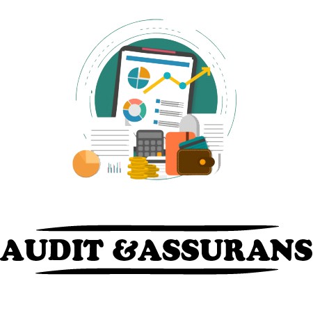 Audit & Assurans | Kantor Akuntan Publik Dr. Agus Widarsono, SE., M.Si ...